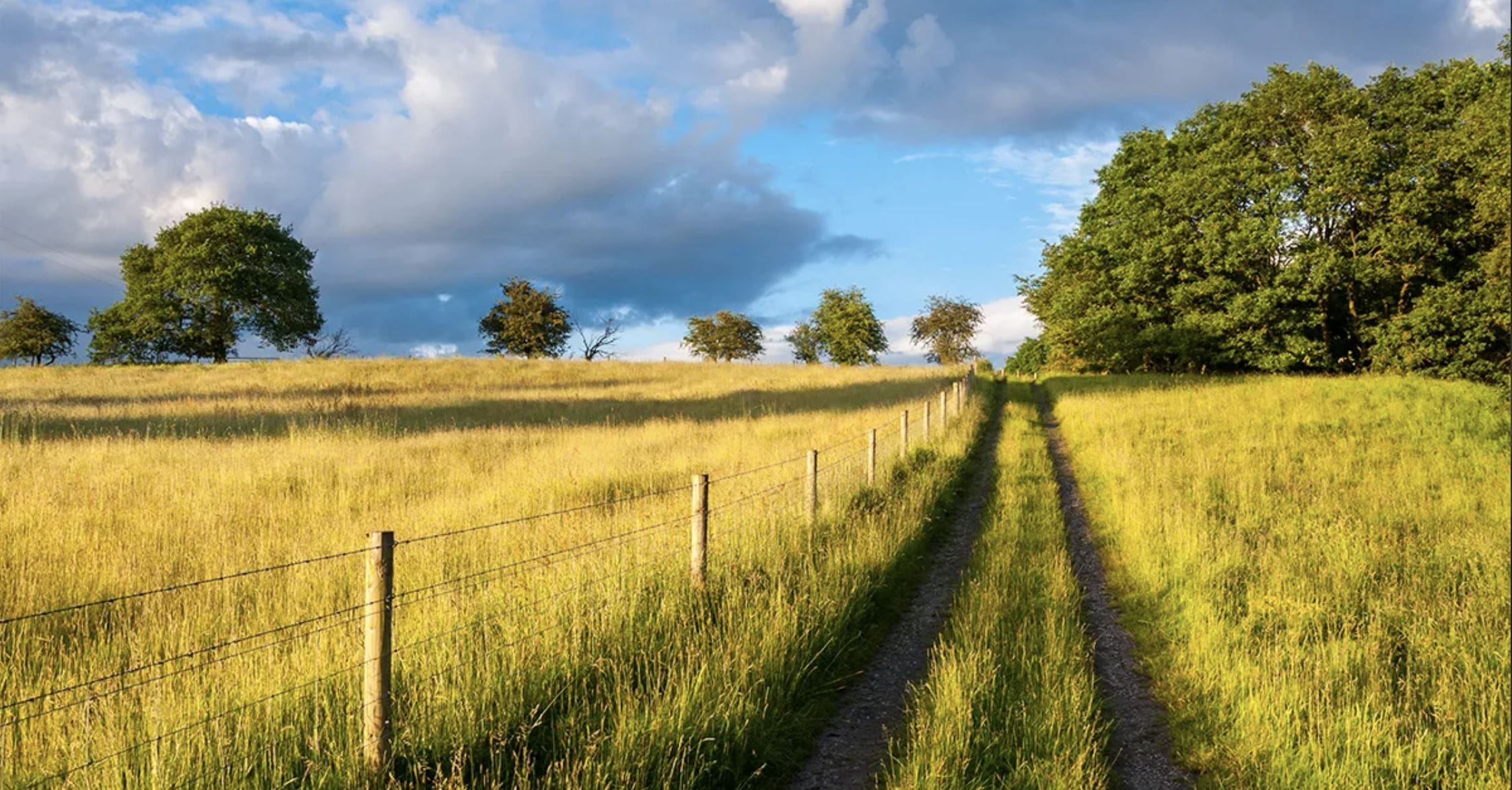 The Business of Selling Farm and Ranch Land | MetroTex